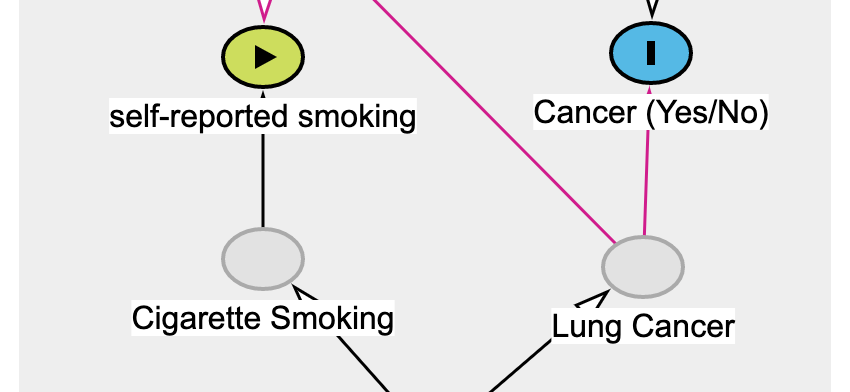Directed Acyclic Graphs To Explore Causality In Epidemiological Study 